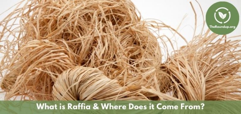 What is Raffia and is it Sustainable? - TheRoundup