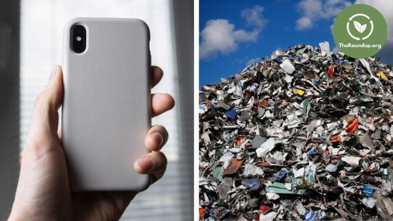 11 Best Eco-Friendly Phone Cases from Sustainable Materials
