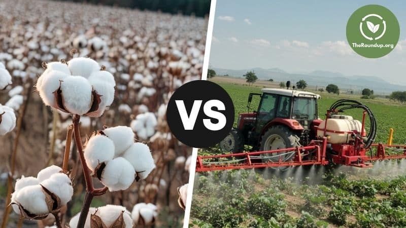 11 Important Benefits of Organic Cotton vs Regular Cotton